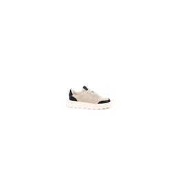 Apple of Eden Sneaker in beige | Gr.: 38
