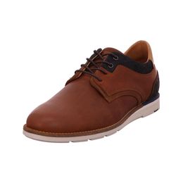 Bullboxer Sneaker in braun | Gr.: 41