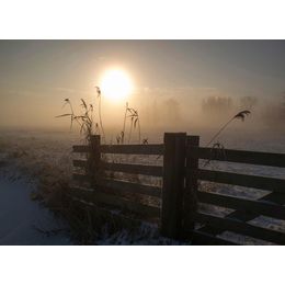papermoon Fototapete "Photo-Art ALIDA VAN ZAANE, WINTERSTIMMUNG", B/L: 4m x 2,6m, Bahnen: 8 Stk., bunt, Schlafzimmer, Tapeten