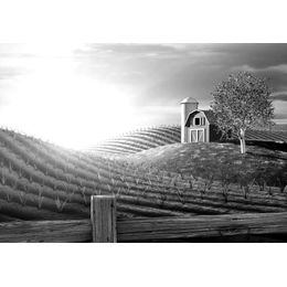 papermoon Fototapete "Landschaft schwarz & wei&szlig;", B/L: 4m x 2,6m, Bahnen: 8 Stk., schwarz, Schlafzimmer, Tapeten