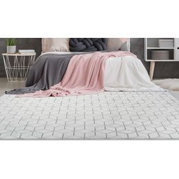 Teppich Calo-deluxe, B:80cm H:20mm L:150cm, grau, Kunstfaser, Wohnzimmer, Teppiche, "Jardan-1000", besonders weich durch Microfaser, Wohnzimmer