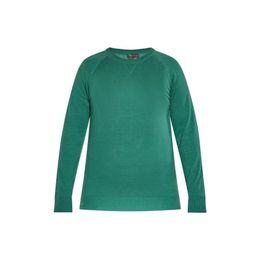 Boline Sweater male Green size S