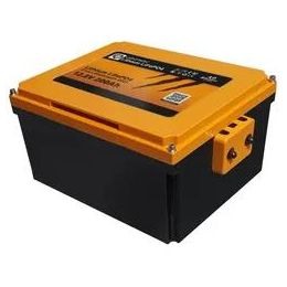 Liontron LiFePO4 LX Smart BMS Wohnmobil-Untersitz Akku - 12,8V 200Ah, Batterie mit Bluetooth