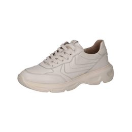 Sneaker Caprice "Caprice Sneaker Nappaleder", Damen, Gr. 39, vanilla, Nappaleder, Schuhe Sneaker