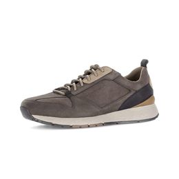 Sneaker Gabor "Sneaker low", Herren, Gr. 48,5, braun, Schuhe Sneaker