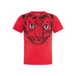 T-Shirt Kidsworld "Mit tollem Druck: LITTLE TIGER", Jungen, Gr. 104/110, rot, Jersey, Obermaterial: 100% Baumwolle, bedruckt, Basic, Rundhals, Shirts T-Shirt, Kurzarm, Basic-Passform, mit peppigem Druck, Rundhalsausschnitt
