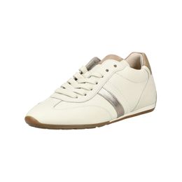 Sneaker Gabor "Gabor Sneaker Leder", Herren, Gr. 42, puder, Leder, Schuhe Sneaker