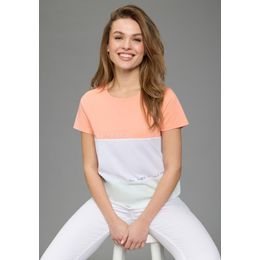 T-Shirt Kangaroos, Damen, Gr. 40/42, apricot, wei&szlig;, blau, Single Jersey, Obermaterial: 100% Baumwolle, figurumspielend h&uuml;ftlang, Rundhals, Shirts T-Shirt, im Colorblock-Design