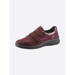 Klettschuh Classic Basics, Damen, Gr. 38, rot (bordeaux), Glattleder, Nubukleder, Basic, Schuhe Klettschuh