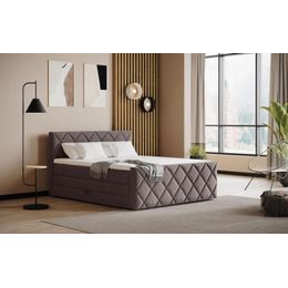 Boxspringbett COTTA "Tower inkl. Bettkasten, mit Keder in abgesetzter Farbe", charcoal, keder: anthrazit, B:201cm L:228cm, 100% POLYESTER (PES), Komplettbetten, Boxspringbett, in verschiedenen Breiten, H&auml;rtegraden und Farben erh&auml;ltlich