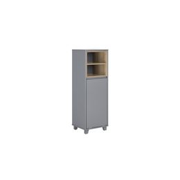 sobuy Badezimmerschrank mit 2 Regalb&ouml;den Dunkelgrau 35x30x105cm Modern