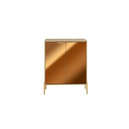 sobuy Schuhschrank mit 2 T&uuml;ren Gold 83x38x100cm Modern