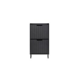 sobuy Schuhschrank mit 2 T&uuml;ren Schwarz 19x50,01x89,99cm Modern