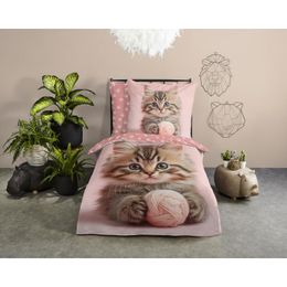 Good Morning Kinderbettw&auml;sche &raquo;Chat&laquo; 2 Stk. Baumwolle, Renforc&eacute;, Wendeoptik, Kind, M&auml;dchen, Katze Renforc&eacute;, Obermaterial: 100% Baumwolle