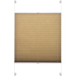 Sch&ouml;ner Wohnen Kollektion SCH&Ouml;NER WOHNEN-Kollektion Plissee &raquo;Sch&ouml;ner Wohnen&laquo; Lichtschutz ohne Bohren verspannt mit Klemmtr&auml;ger beige Obermaterial: 95% Polyester, 5% Metall