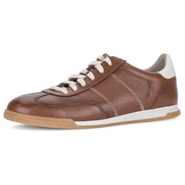 Pius Gabor Herren Sneaker , Freizeitschuh, Komfortschuh, Schn&uuml;rschuh mit Kontrastn&auml;hten, G-Weite 11 (46)