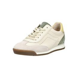 Gabor Sneaker in Beige/Gr&uuml;n | Gr.: 44