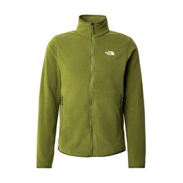 The North Face Athletic Fleece Jacket 'GLACIER' male Green size L