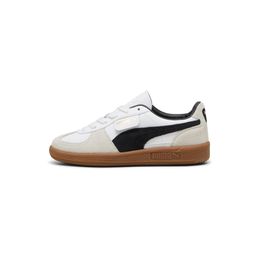 Puma Sneaker 'Palermo' Jungen Gr&ouml;&szlig;e 37.5 greige / schwarz / wei&szlig;