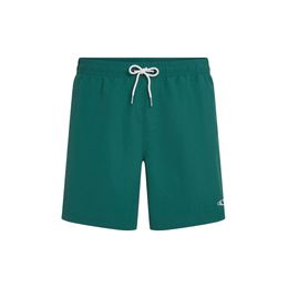 O`Neill O'neill Board Shorts 'Vert' male Green size S
