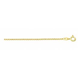 Adelia&acute;s ADELIA ́S Damen Goldkette "Damen 333 Gold Erbs Halskette &Oslash; 1,5 mm", 38, Gelbgold 333 Gold, gold, Gelbgold 333, Gold, Halsketten, Goldschmuck f&uuml;r Damen