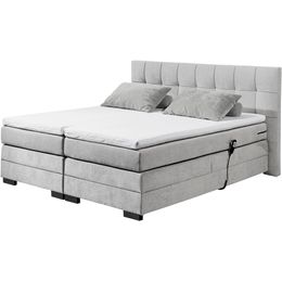 Boxspringbett, B:202cm L:211cm, grau, ED EXCITING DESIGN, 100% Polyester, Jugendzimmer, Komplettbetten, "Talena", inkl. Motor und Topper