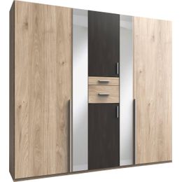 Dreht&uuml;renschrank wimex, B:225cm H:208cm T:58cm, braun, Holzwerkstoff, Schr&auml;nke, "Odessa"