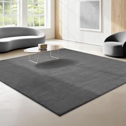 Teppich the carpet, B:240cm H:16mm L:240cmanthrazit, Polyester, Wohnzimmer, Teppiche, "Relax", waschbarer Wohnzimmer Teppich modern rutschfest,