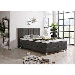 Boxbett Maintal, B:154cm L:206cm, grau, Komplettbetten, mit Bettkasten und Kaltschaum-Topper
