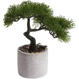 Kunstbonsai BOTANIC-HAUS, B:25cm H:25cm T:20cm &Oslash;:25cm, gr&uuml;n, Kunststoff, Kunstpflanzen, "Ceder Bonsai"