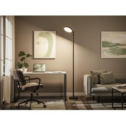 Paulmann LED Stehlampe "Caneta Tunable White 1750mm 1300lm 20W Schwarz", 1, &Oslash; 25cm H: 175cm, 1 Stk., schwarz, Wohnzimmer, Leuchten, dimmbar