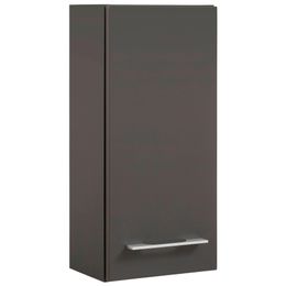 H&auml;ngeschrank Welltime, B:30cm H:64cm T:20cm, grau, Badezimmer, Schr&auml;nke, "Davos"