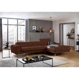 Ecksofa W.Schillig, B:343cm H:70cm T:193cm, braun, Longlife Xtra-Leder Z69: Das feinnarbige, gedeckte Softleder Z69 besticht durch seine