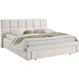 Meise M&ouml;bel Polsterbett MEISE.M&Ouml;BEL "Canyon, Breite 180cm, erh&auml;ltlich in grau oder beige", beige, B:209cm H:110cm L:228cm, Betten, Polsterbett, inkl. Schubkasten im Fu&szlig;teil - ideal als Hundebett nutzbar