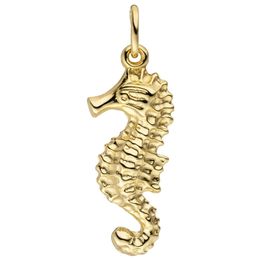 Jobo Damen Kettenanh&auml;nger "Anh&auml;nger Seepferdchen", Gelbgold 333, gold, Gelbgold 333, Schmuckanh&auml;nger, 333 Gold
