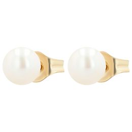 Adelia&acute;s ADELIA ́S Damen Paar Ohrh&auml;nger "Damen Ohrringe &ndash; Ohrstecker aus 333 Gold mit Perle"gold, Ohrringe, Ideal als Geschenk zum Weihnachten