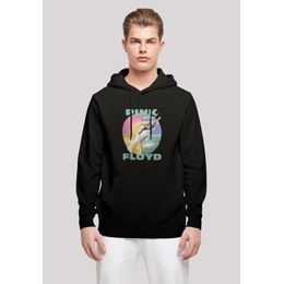 F4NT4STIC Herren Kapuzenpullover "Pink Floyd Wish You Were Here", schwarz, Gr. XXL, Obermaterial: 50% Baumwolle, 50% Polyester, Pullover, Print