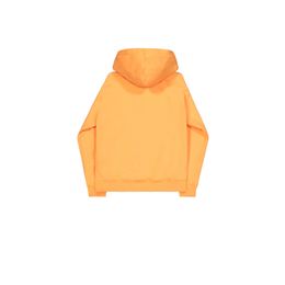 Herren Hoodie "Alpha Puff Print Hoodie", orange, Gr. S, Alpha Industries, Obermaterial: 80% Baumwolle, 20% Polyester, Sweatshirts
