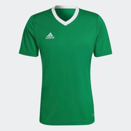 Herren Fu&szlig;balltrikot "ENT22 JSY", gr&uuml;n, Gr. L, adidas Performance, bestickt, Obermaterial: 100% Polyester, Trikots