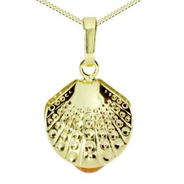 OSTSEE-SCHMUCK Damen Kette und Anh&auml;nger Set "- Muschel - Gold 333/000 - Bernstein", 42, gold, Gelbgold 333, Schmuck_Sets