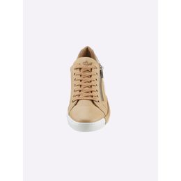 Andrea Conti Damen Sneaker, Gr. 41, braun, Glattleder, Leder, Rindsleder, Schuhe