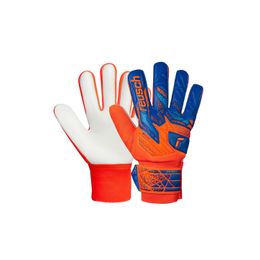 Reusch Kinder Torwarthandschuhe "Attrakt Starter Solid Junior", orange, Gr. 8, mehrfarbig, 29% Polyester, 5% Lederimitat, 1% Baumwolle, Handschuhe,
