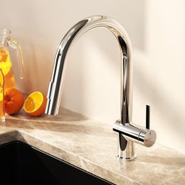 Artiviana Svago K&uuml;chenarmatur mit 2 Strahlarten, schwenkbar, Auslauf ausziehbar, R04AH001CR,