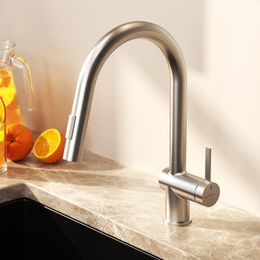 Artiviana Svago K&uuml;chenarmatur mit 2 Strahlarten, schwenkbar, Auslauf ausziehbar, R04AH001AC,