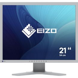 EIZO LED-Monitor "FlexScan S2134", Energieeffizienz: C (A-G), grau, B:46,5cm H:36,1cm T:6,4cm, Monitore