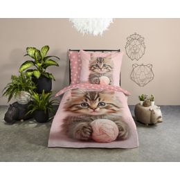 Kinderbettw&auml;sche Good Morning "Chat", rosa, B/L: 135cm x 200cm, 1 Stk., 1 Stk., Renforc&eacute;, B/L: 80cm x 80cm, 2 Stk., Renforc&eacute;, Obermaterial: 100% Baumwolle, Bettw&auml;sche, Baumwolle, Renforc&eacute;, Wendeoptik, Kind, M&auml;dchen, Katze
