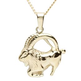 OSTSEE-SCHMUCK Damen Kette und Anh&auml;nger Set "- Tierkreiszeichen Steinbock - Gold 333/000 -", 45, gold, Gelbgold 333, Schmuck_Sets