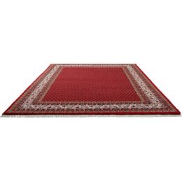 Orientteppich Theko "Chandi Mir" Gr. 2, rot (rot, creme), B:70cm H:12mm L:140cm, Schurwolle, Teppiche, Fransenteppich, reine Wolle, handgekn&uuml;pft, mit Fransen