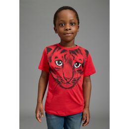 T-Shirt Kidsworld "Mit tollem Druck: LITTLE TIGER", Jungen, Gr. 92/98, rot, Jersey, Obermaterial: 100% Baumwolle, bedruckt, Basic, Rundhals, Shirts T-Shirt, Kurzarm, Basic-Passform, mit peppigem Druck, Rundhalsausschnitt