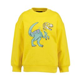 Sweatshirt Blue Seven, Jungen, Gr. 122, sonne, Sweatware, Obermaterial: 100% Baumwolle, bedruckt, unifarben, Basic normal, Rundhals, Rippb&uuml;ndchen, Sweatshirts Sweatshirt, mit tollen Dino-Motiven
